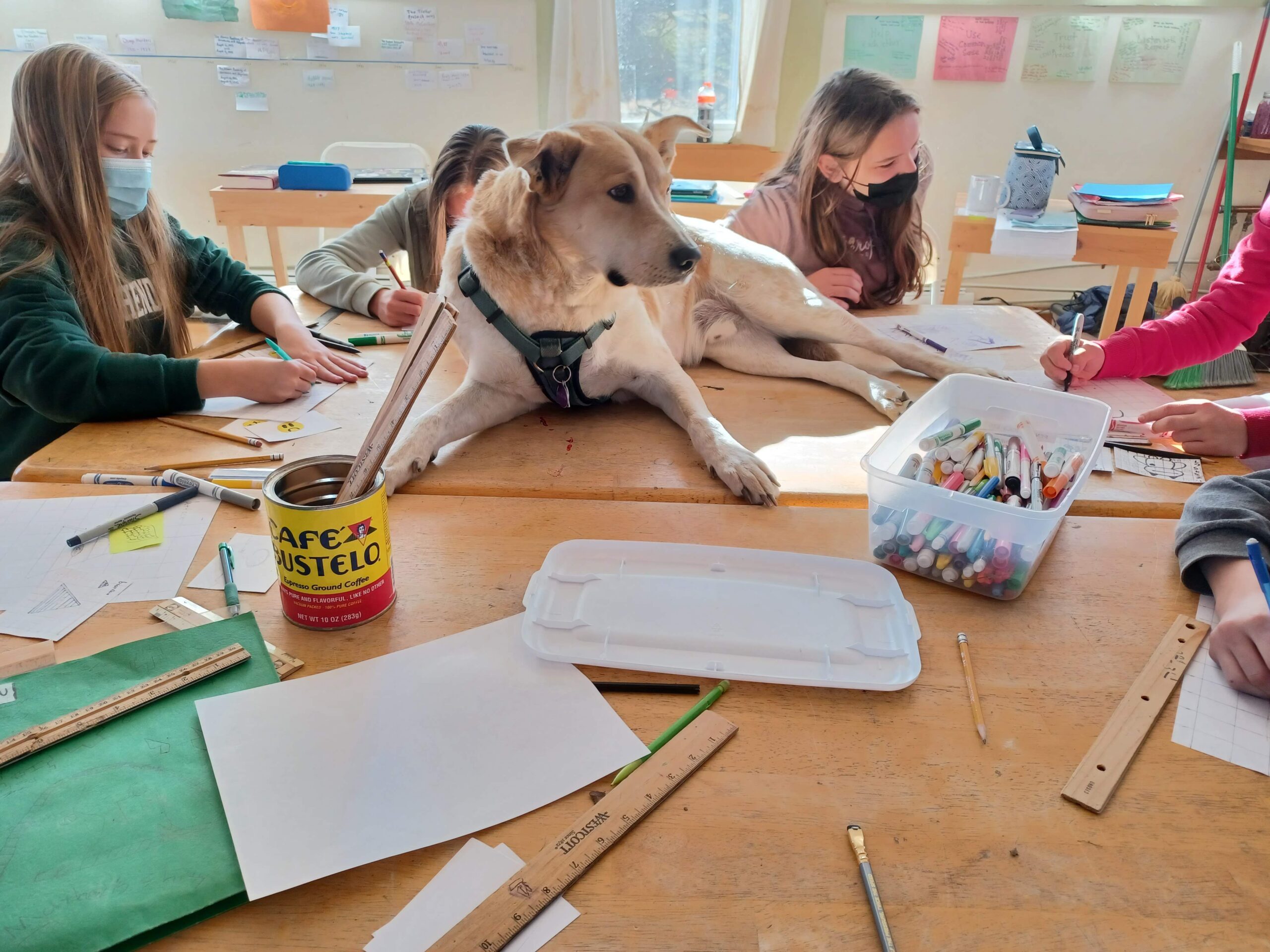 Education - The Farm School